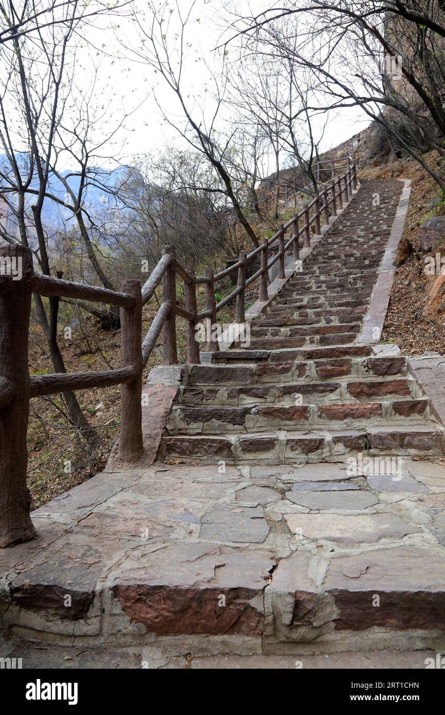 Step trail in a park Stock Photo - Alamy