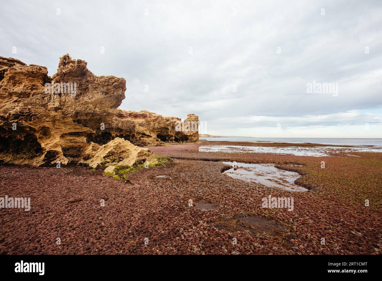 The lesser known Monforts Beach and its rockpool formations on a sunny ...