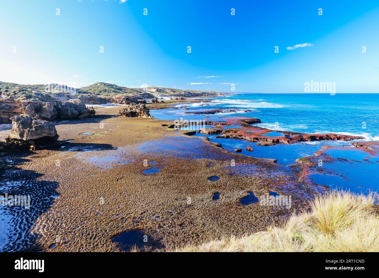 Rockpool melbourne hi-res stock photography and images - Alamy