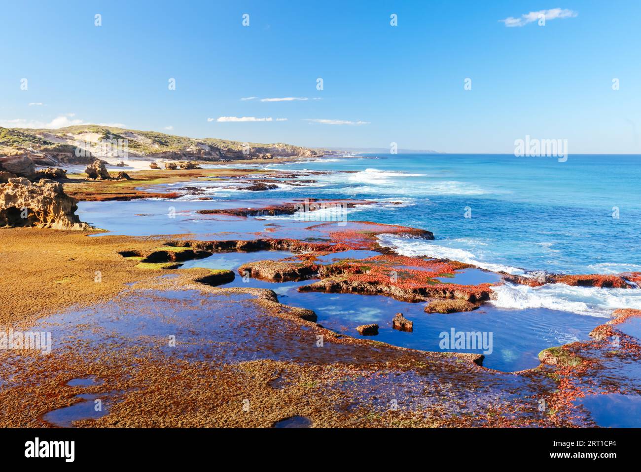 Rockpool melbourne hi-res stock photography and images - Alamy