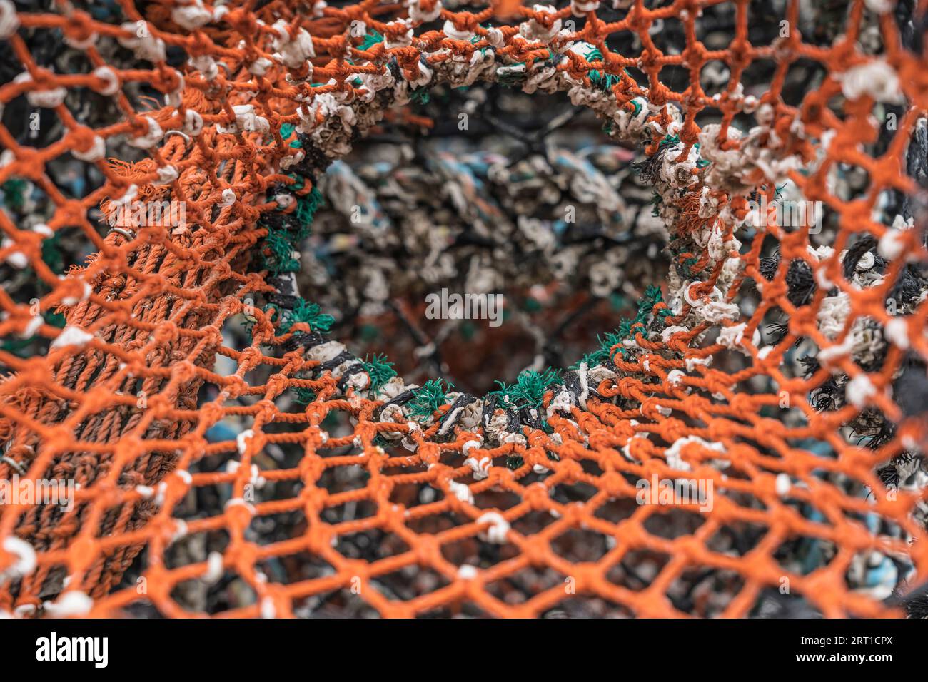 Lobster pot entrance trap hi-res stock photography and images - Alamy
