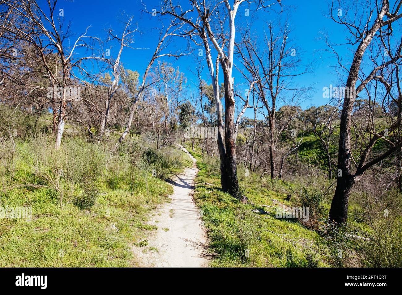 Mountain bike trails and landscape around Plenty Gorge in Northern ...