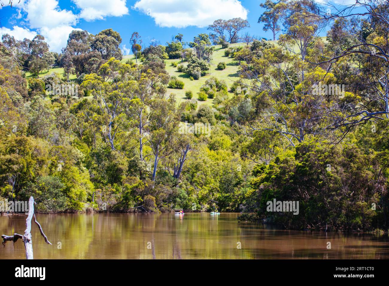 Mount Lofty Circuit Walk in Warrandyte State Park on a hot spring day ...