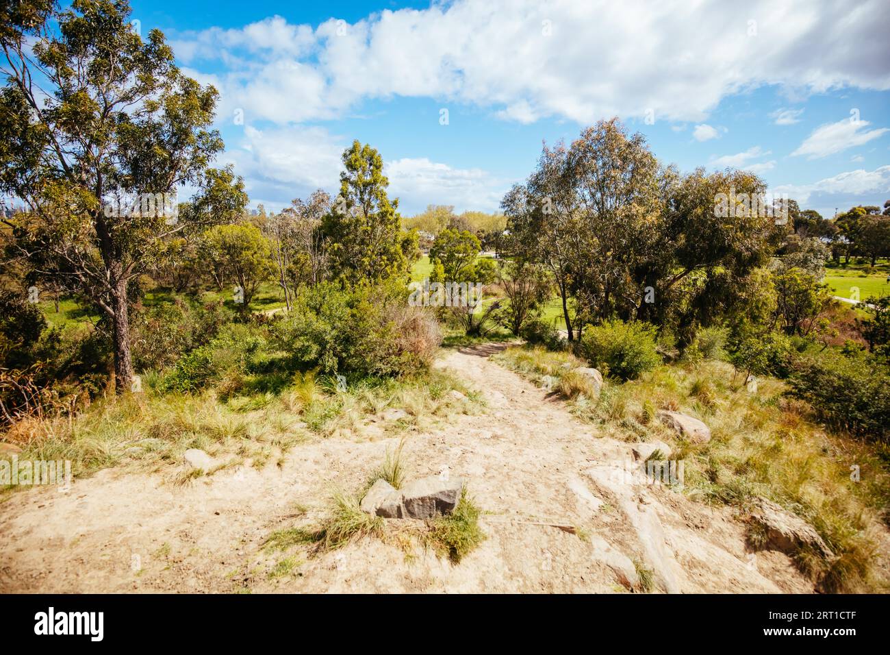 The expansive natural environment of Darebin Parklands on a warm sunny ...