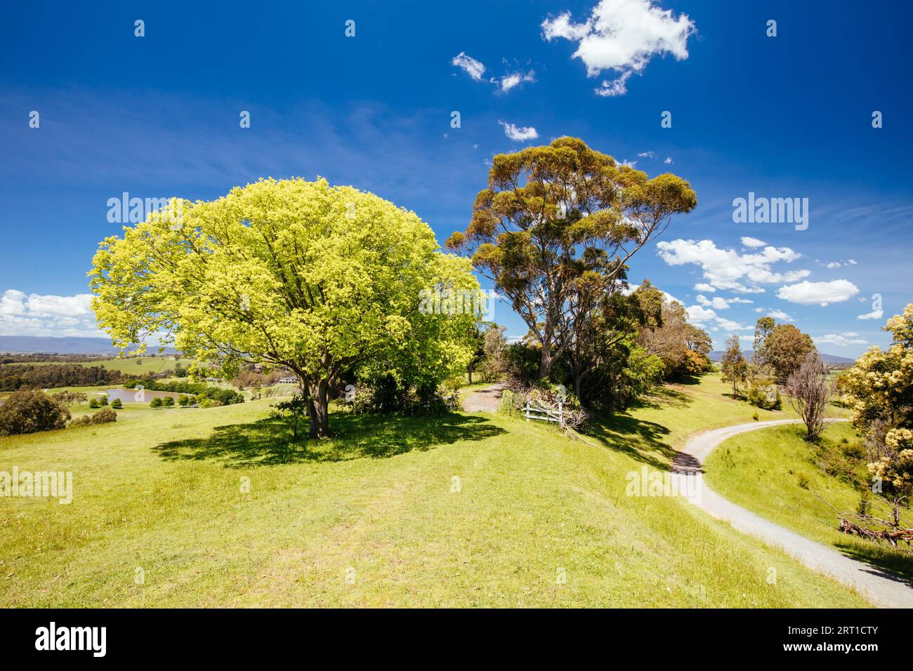 Mount Lofty Circuit Walk in Warrandyte State Park on a hot spring day ...
