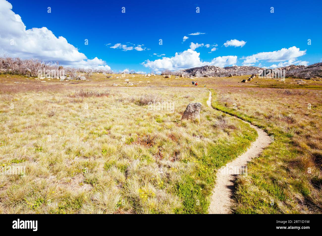 Flora and fauna landscape along walking path to Dickson's Falls during ...