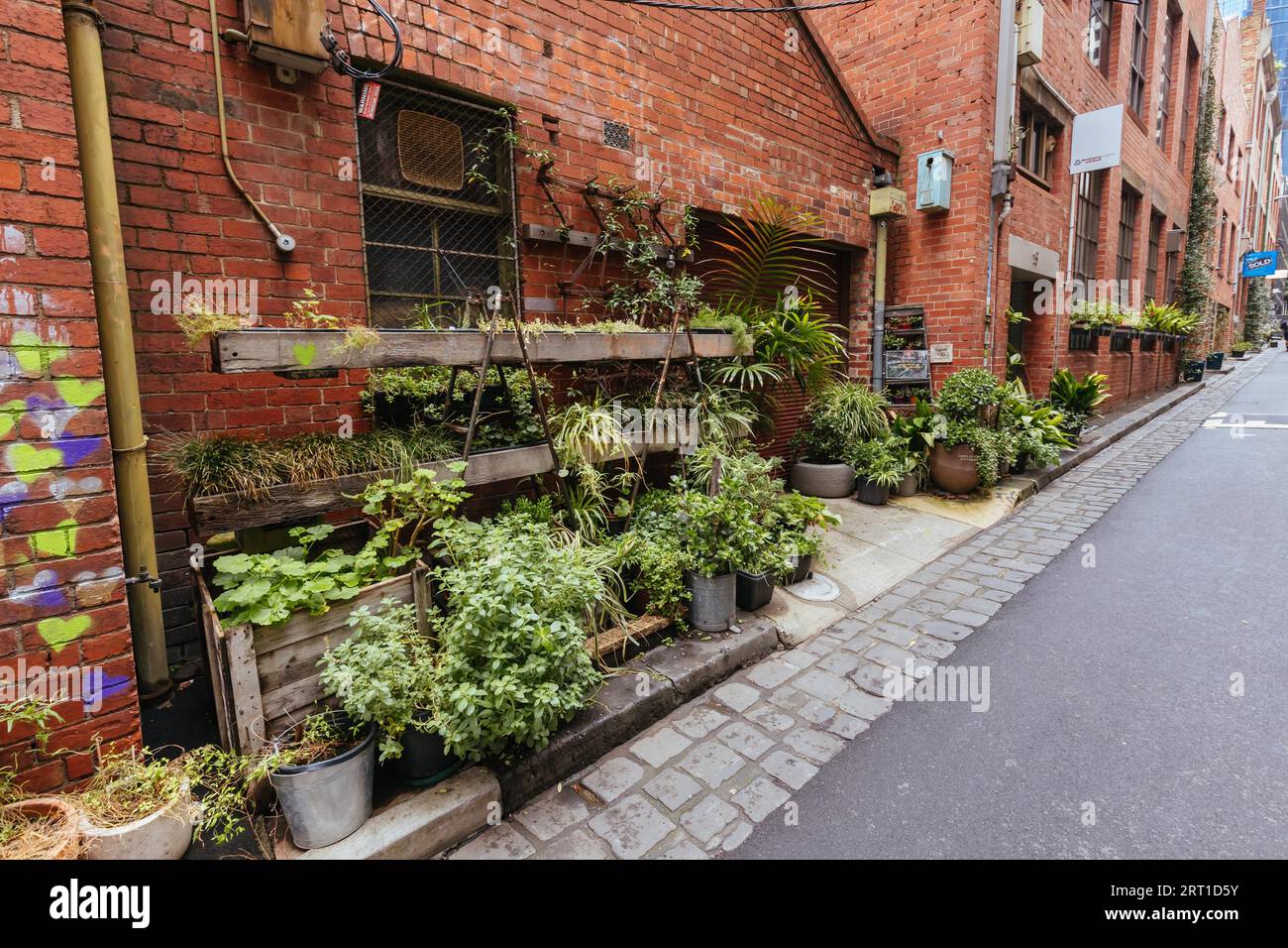 Guildford lane melbourne hi-res stock photography and images - Alamy