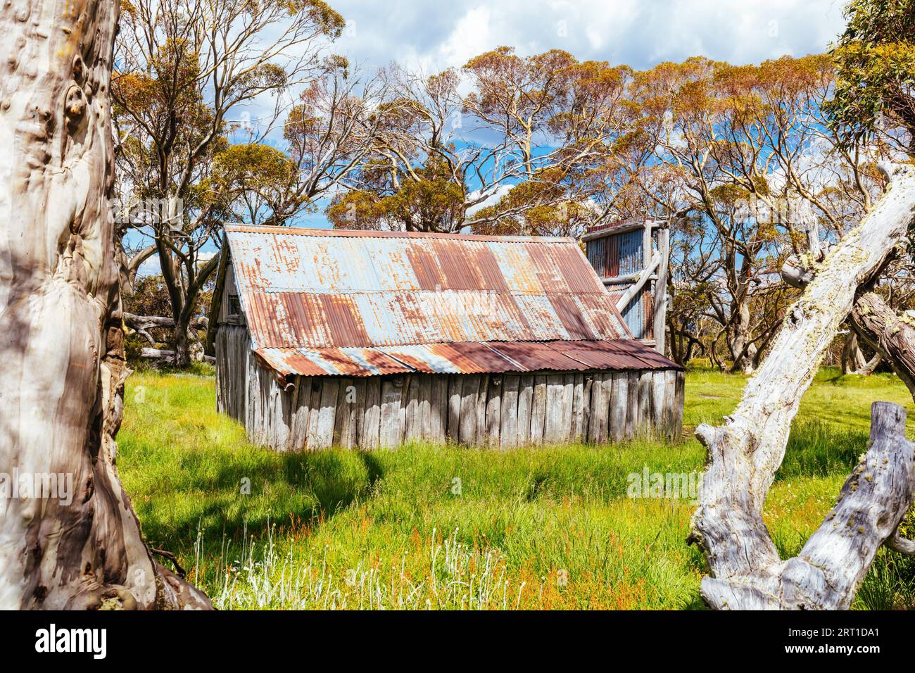 Historic Wallace Hut which is the oldest remaining cattlemen's hut near ...