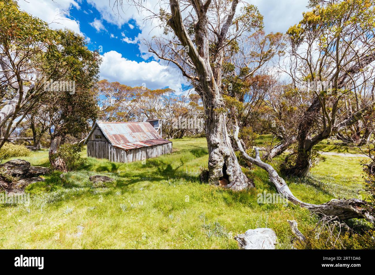 Historic Wallace Hut which is the oldest remaining cattlemen's hut near ...