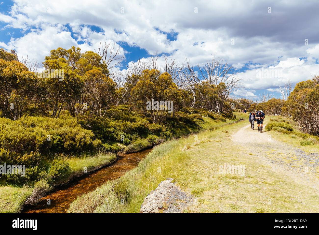 Landscape scenery on Wallaces Heritage Trail on a hot summer's day near ...