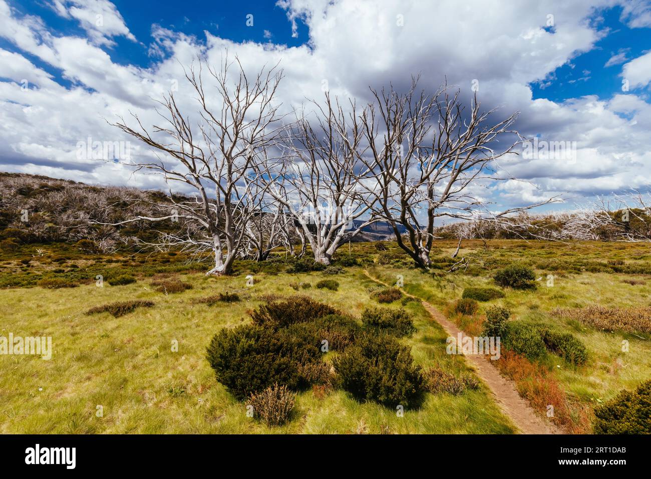 Landscape scenery on Wallaces Heritage Trail on a hot summer's day near ...