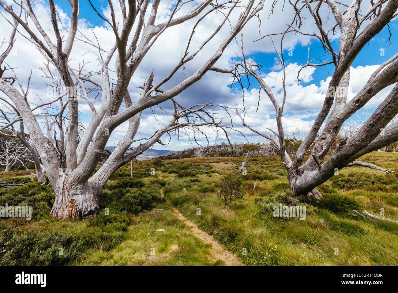 Landscape scenery on Wallaces Heritage Trail on a hot summer's day near ...