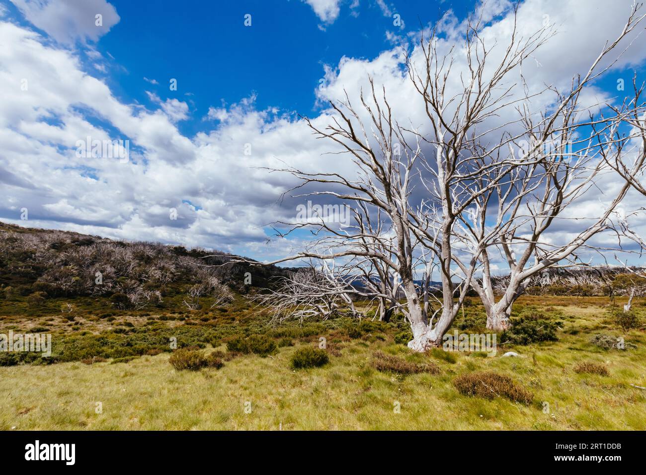 Landscape scenery on Wallaces Heritage Trail on a hot summer's day near ...