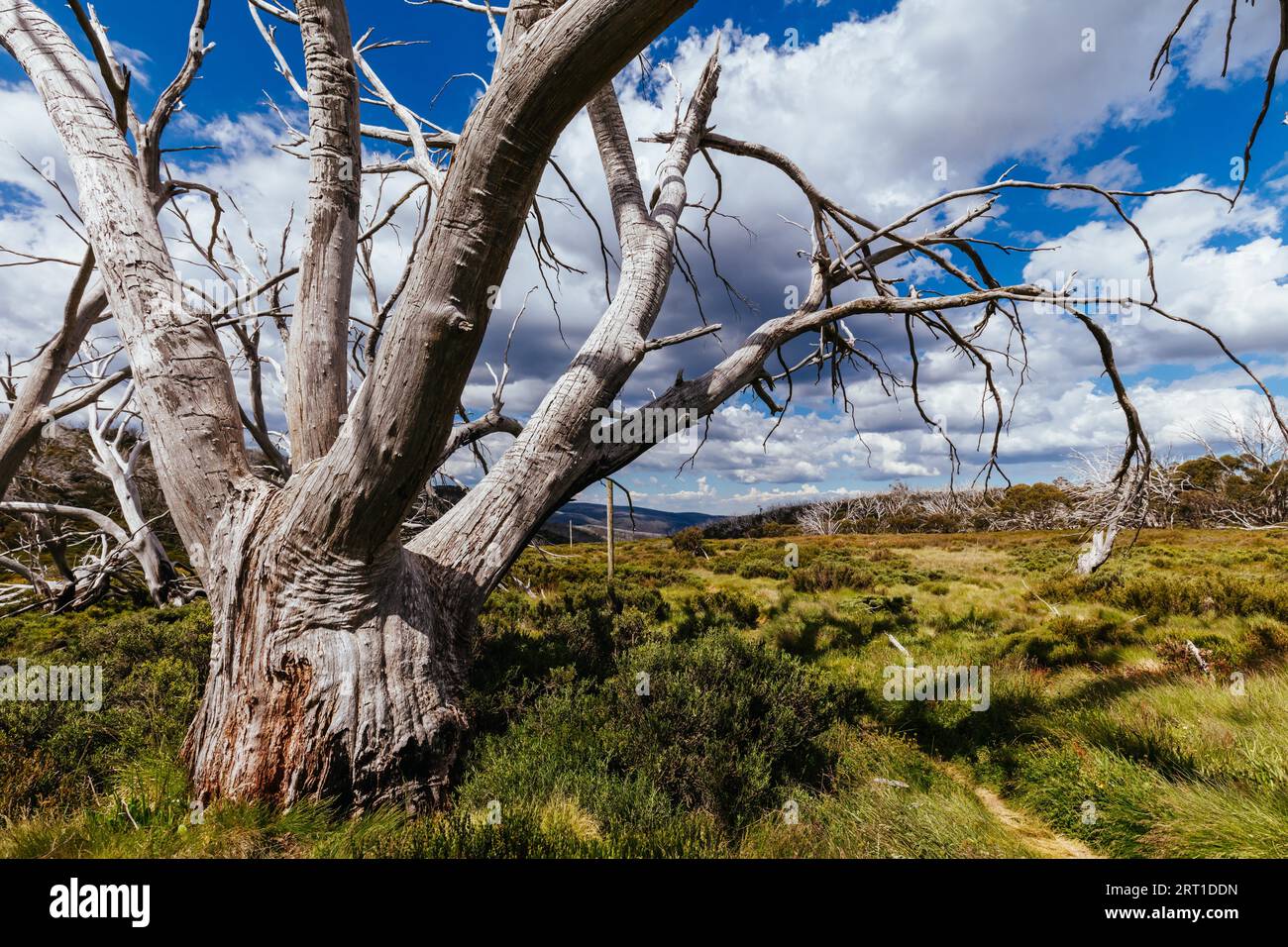 Landscape scenery on Wallaces Heritage Trail on a hot summer's day near ...