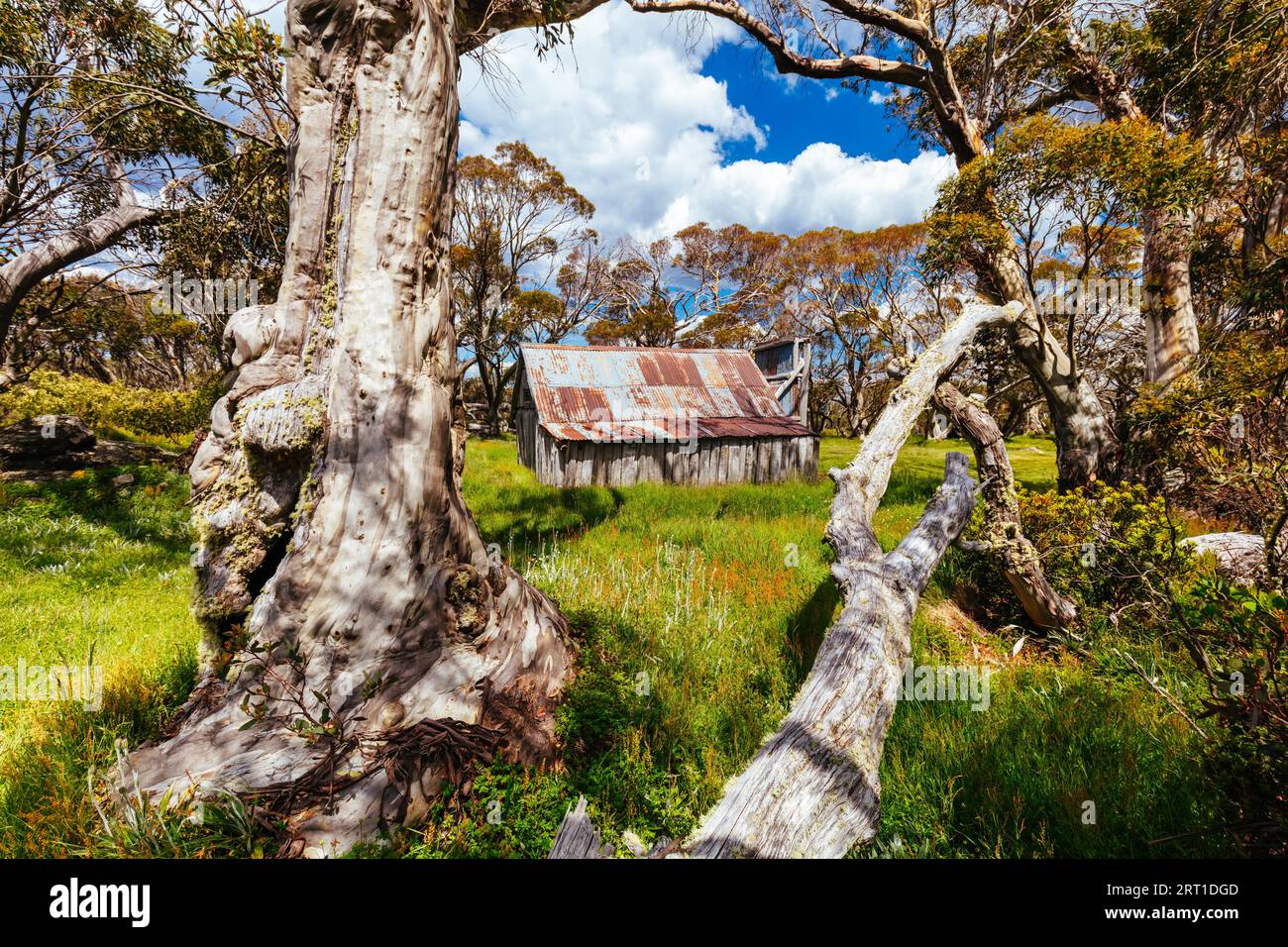 Historic Wallace Hut which is the oldest remaining cattlemen's hut near ...