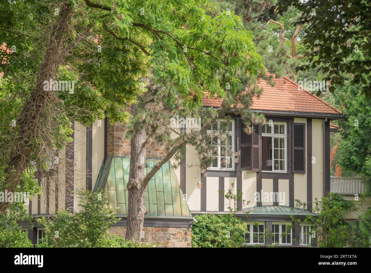 Tree and historic building hi-res stock photography and images - Alamy