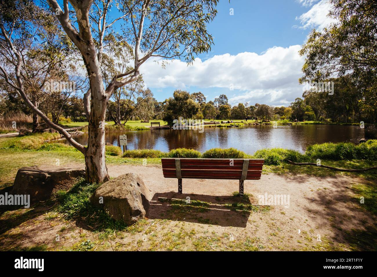 The expansive natural environment of Darebin Parklands on a warm sunny ...
