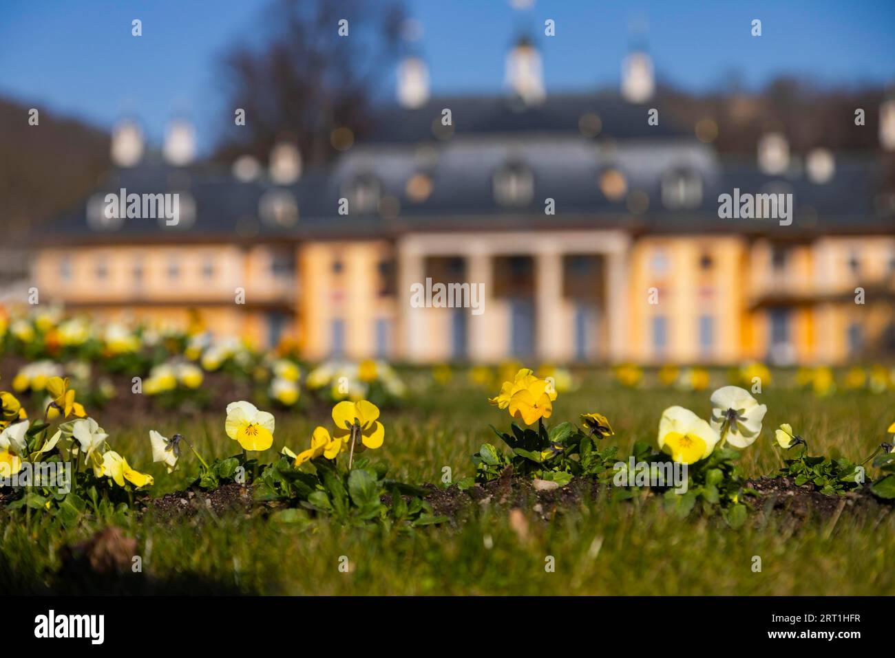 Pillnitz Palace Park. Pleasure garden first season planting with ...
