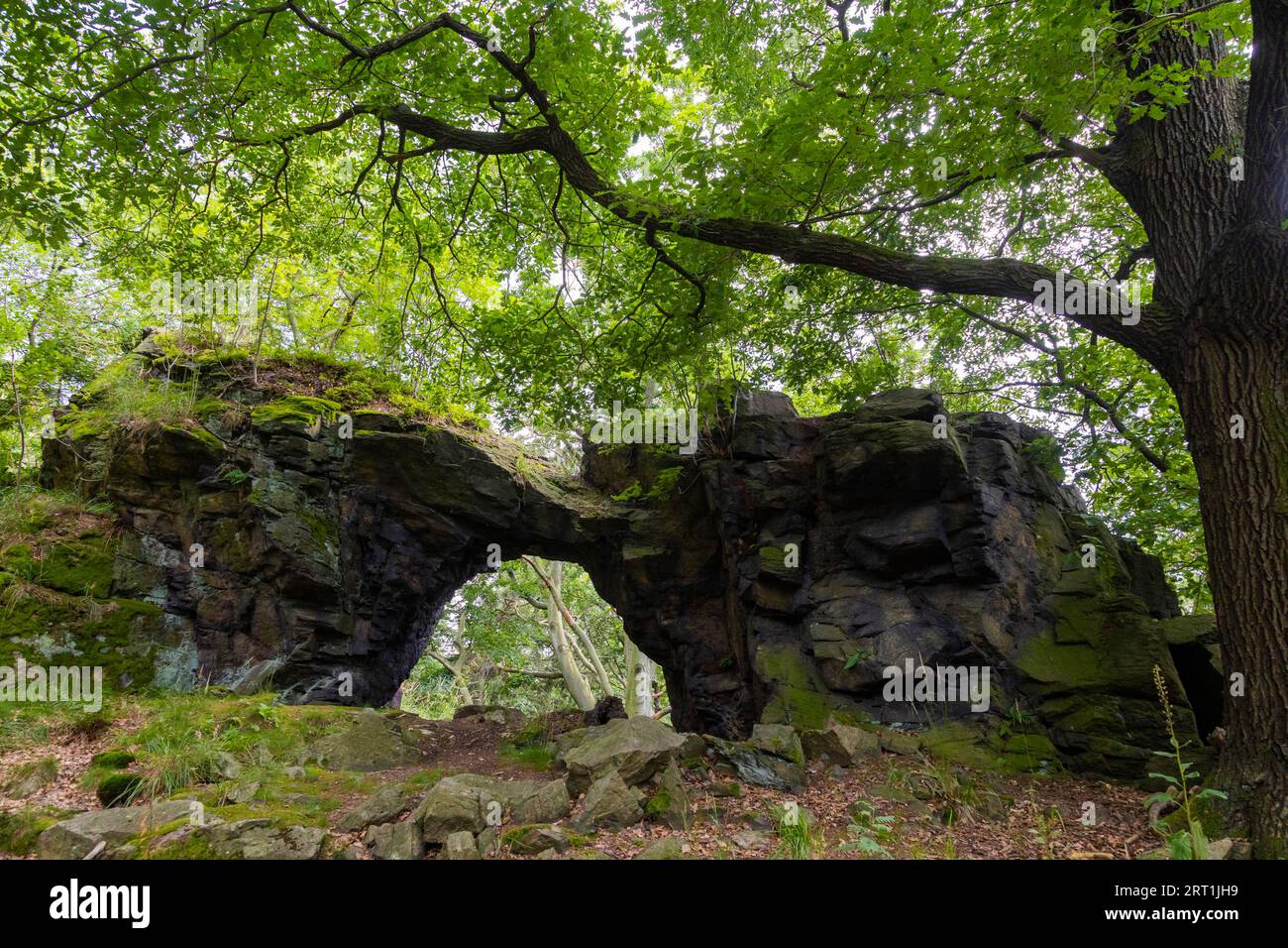 Hollow stone near Oelsen. Weathering in the grey biotite gneiss has ...
