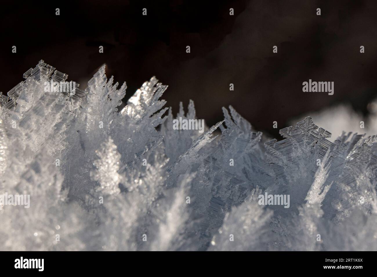 Fascinating forms hi-res stock photography and images - Alamy