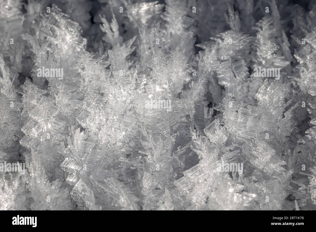 Macro photos of ice flowers during heavy frost Stock Photo - Alamy