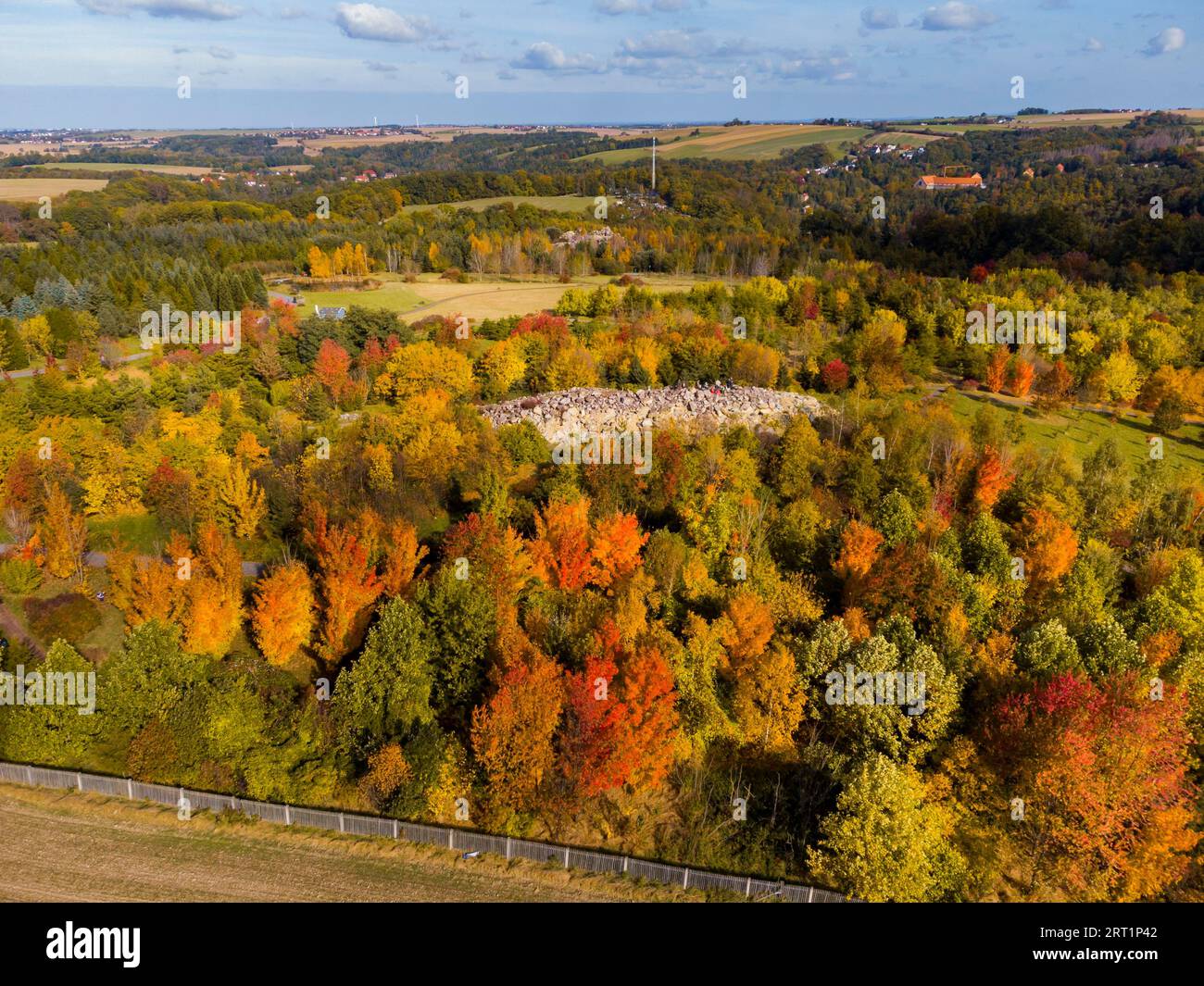 The Forest Botanical Garden Tharandt is an institution of the Technical ...