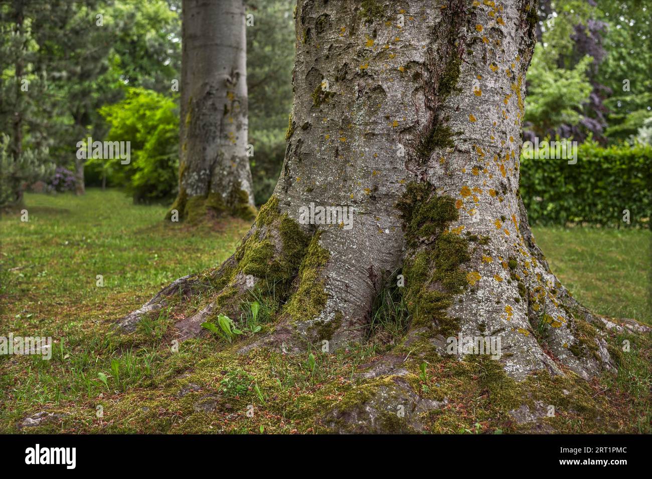 Muenchberg hi-res stock photography and images - Alamy