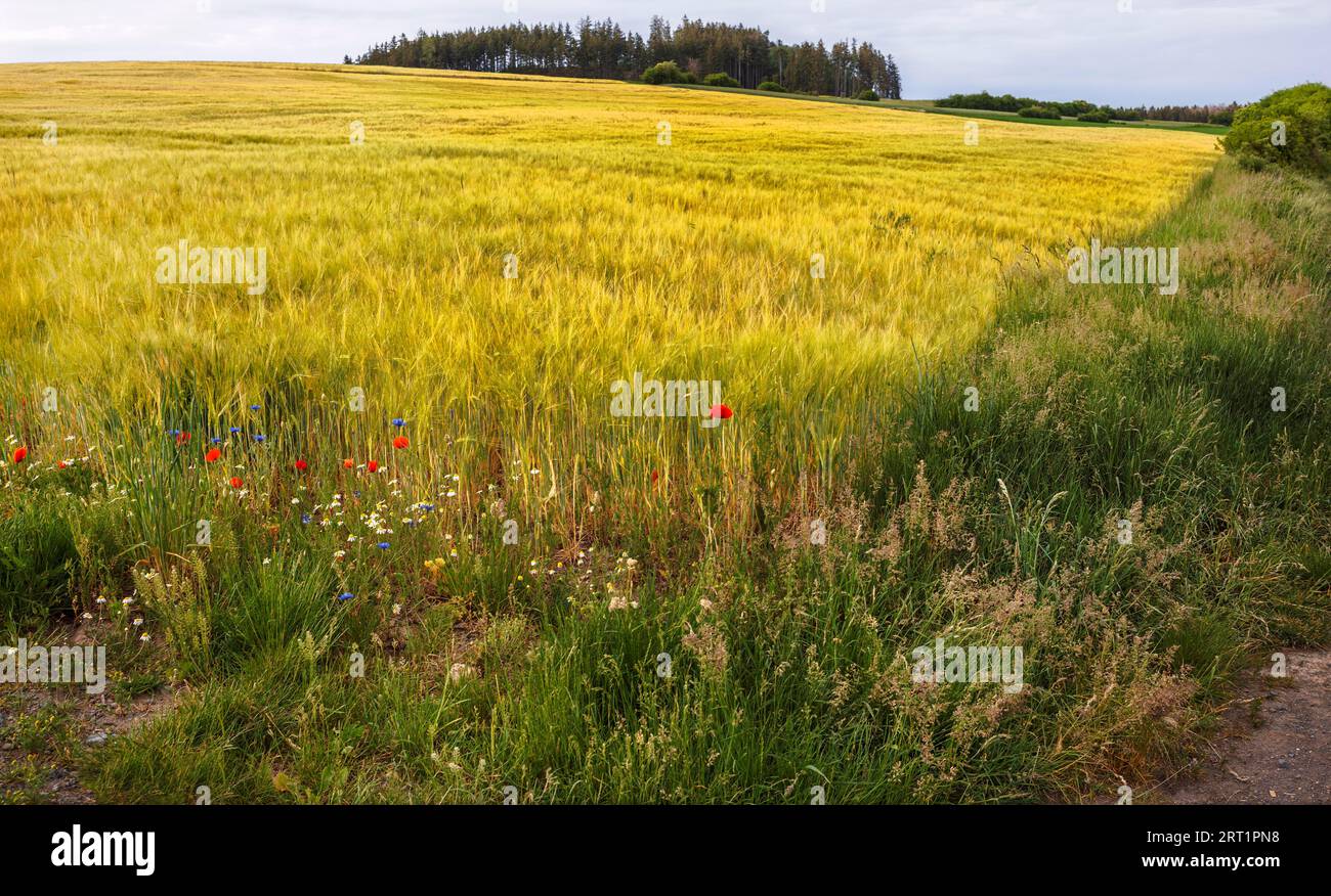 Boundary ridge hi-res stock photography and images - Alamy