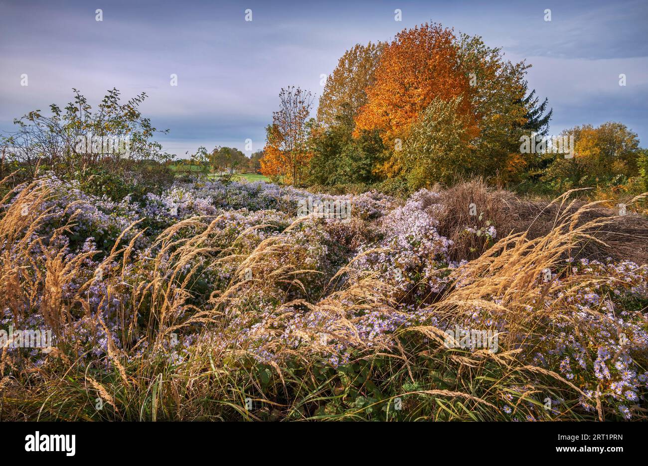 Autumn_landscape hi-res stock photography and images - Alamy
