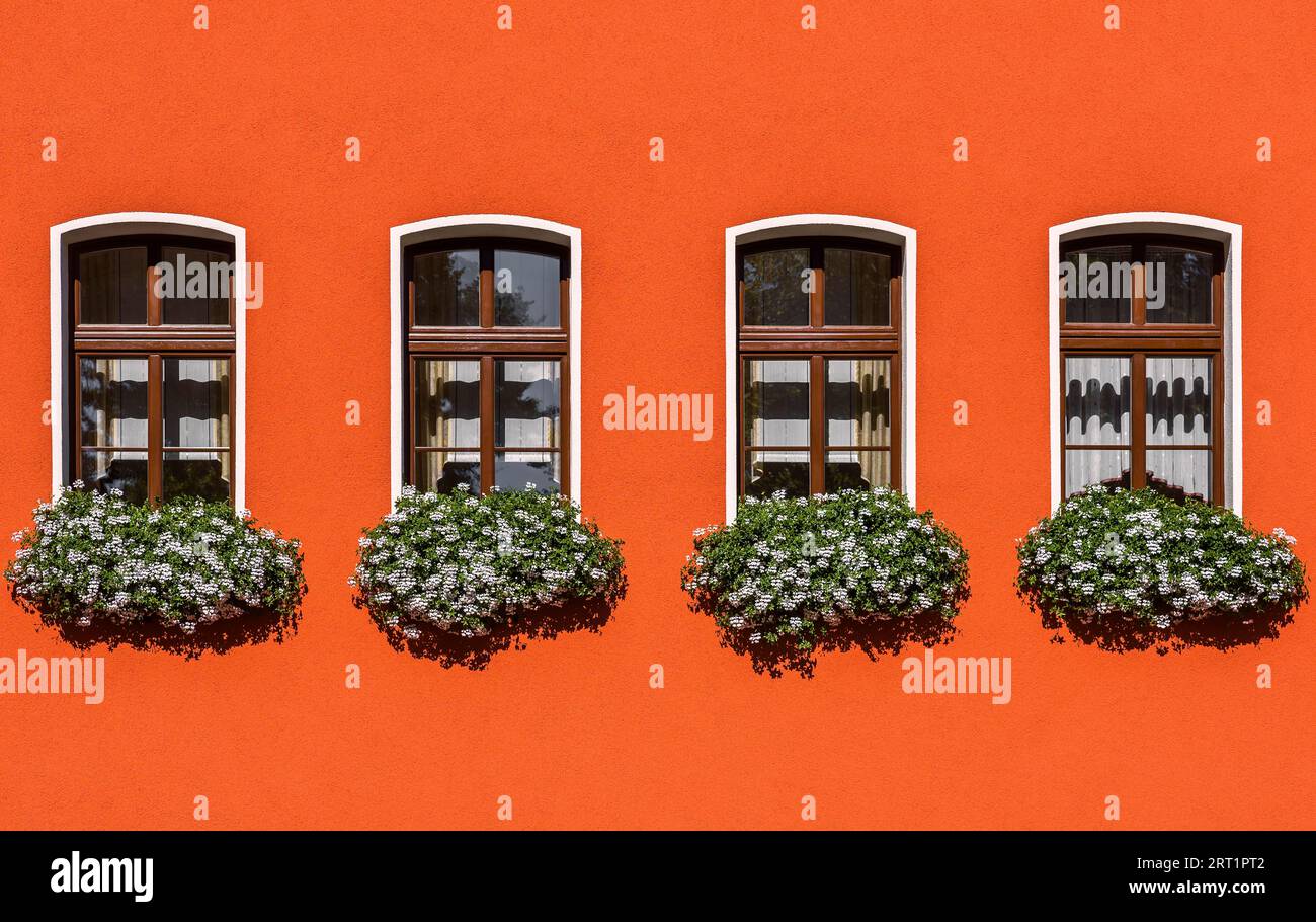 Four flower windows Stock Photo - Alamy