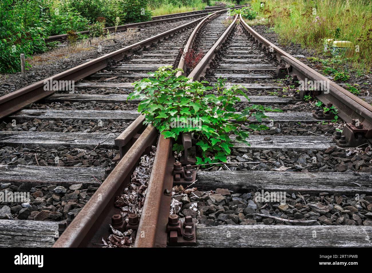 Forgotten rail hi-res stock photography and images - Alamy