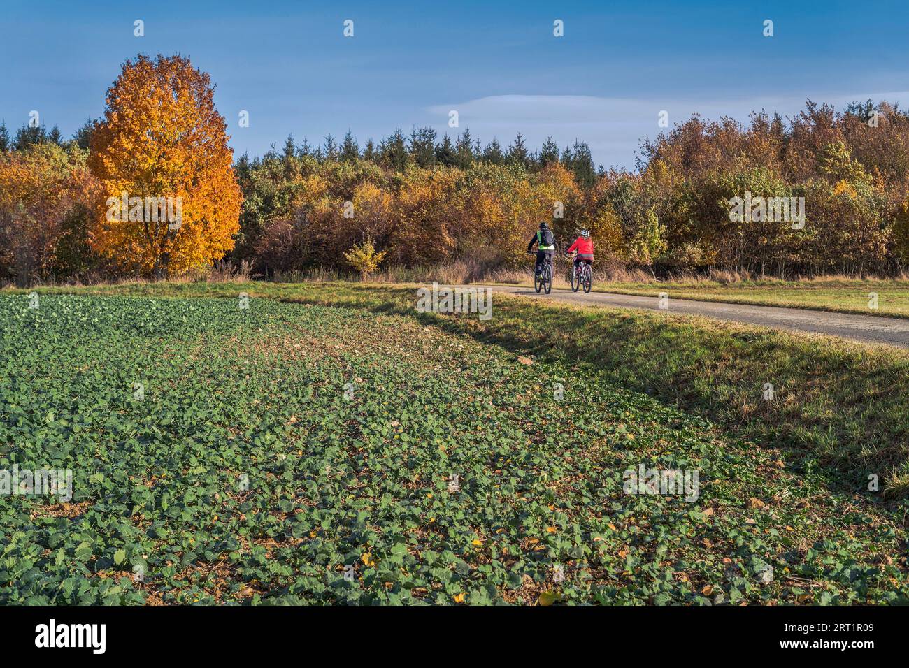 Autumn bike ride Stock Photo - Alamy