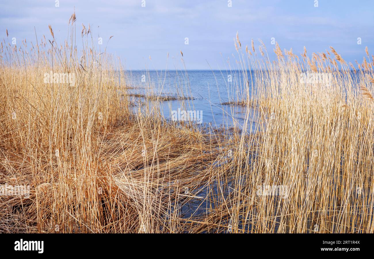 The Szczecin Lagoon, also called the Oder Lagoon and the Pomeranian ...