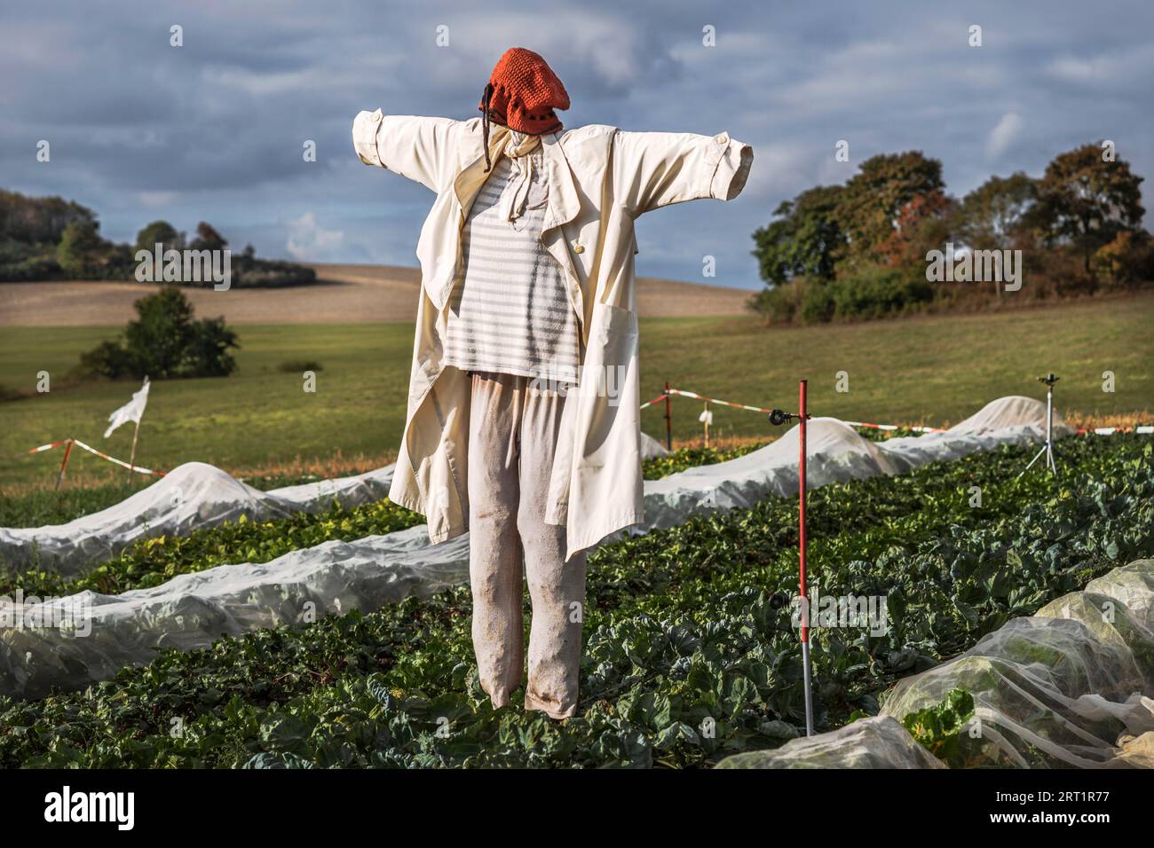 Scarecrow outdoor hi-res stock photography and images - Alamy