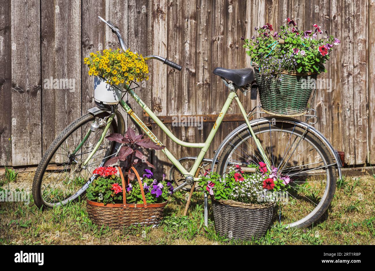 Bicycle with flowers Stock Photo - Alamy