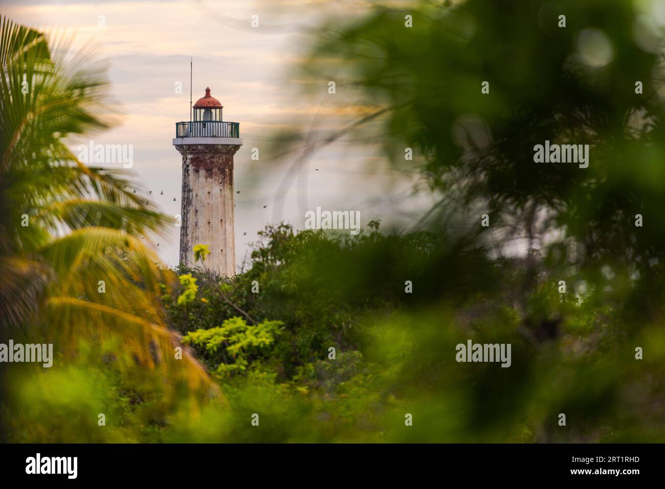 The old lighthouse of Puducherry, South India seen through a group of trees with birds flying by ...