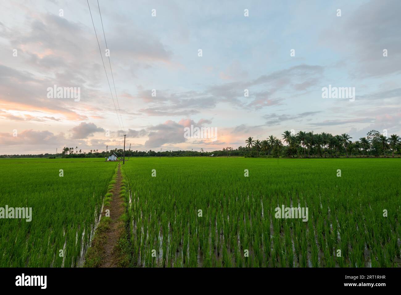 Cloudy day south india hi-res stock photography and images - Alamy