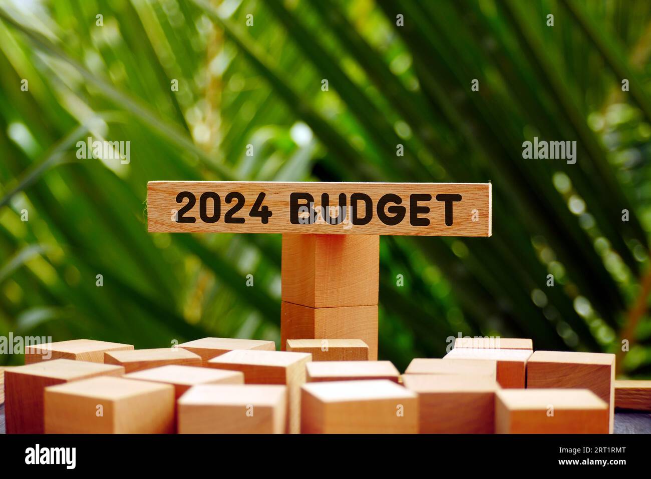 2024 budget text on wooden block with nature concept background ...