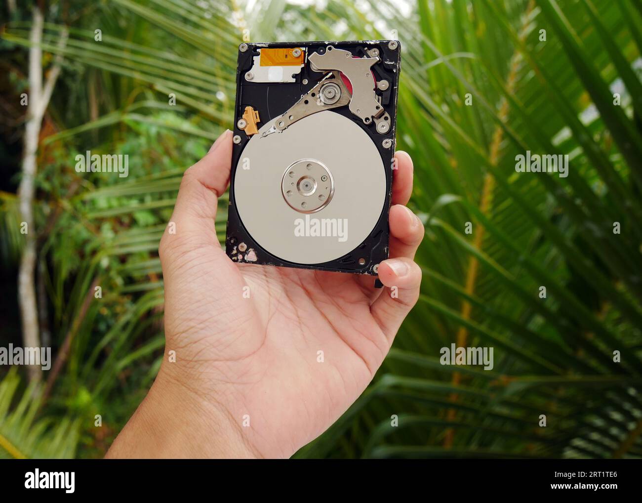 hand holding HDD with detailed view of the inside of a hard disk drive ...