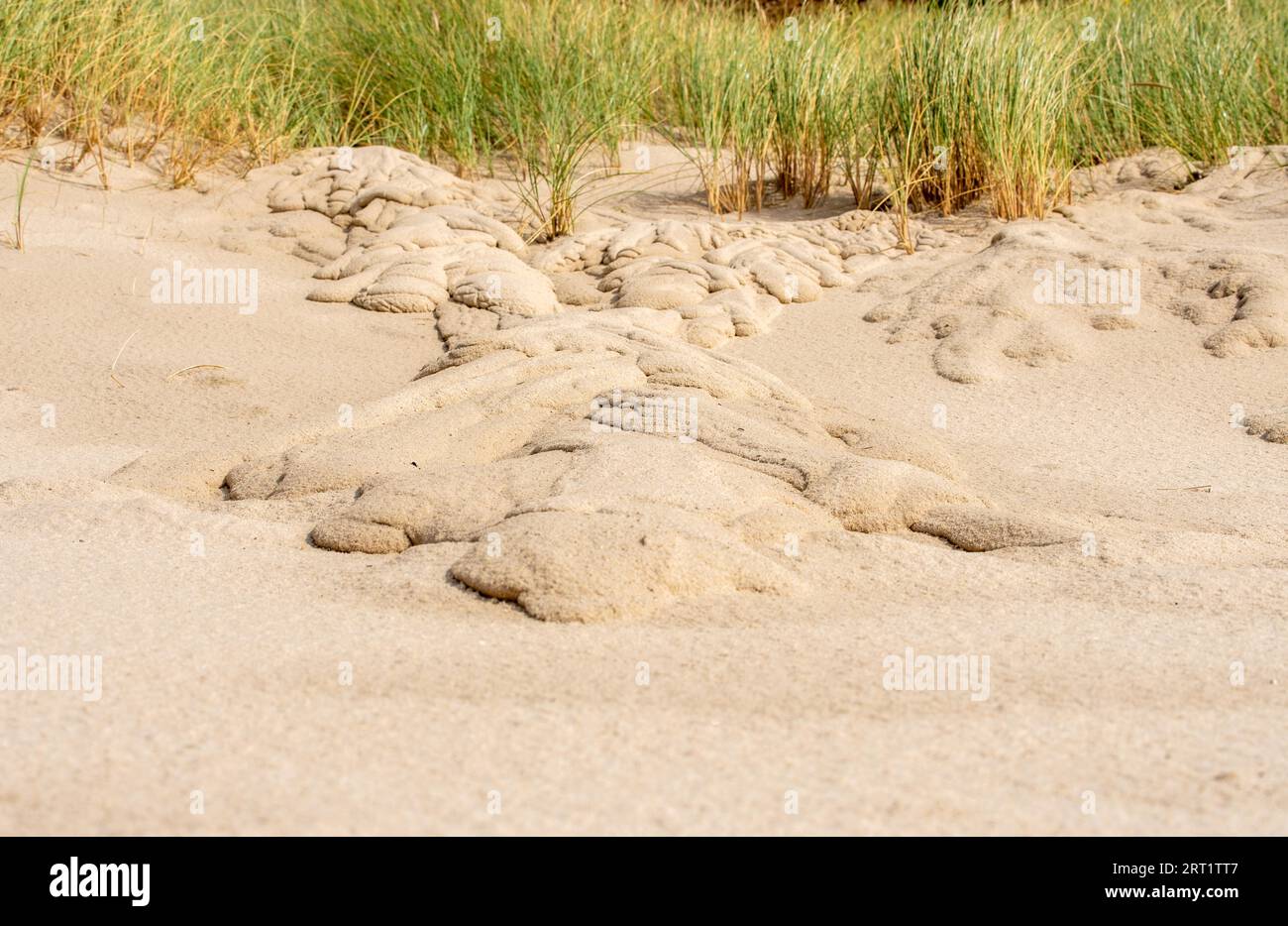 Sand structure on the beach hi-res stock photography and images - Alamy
