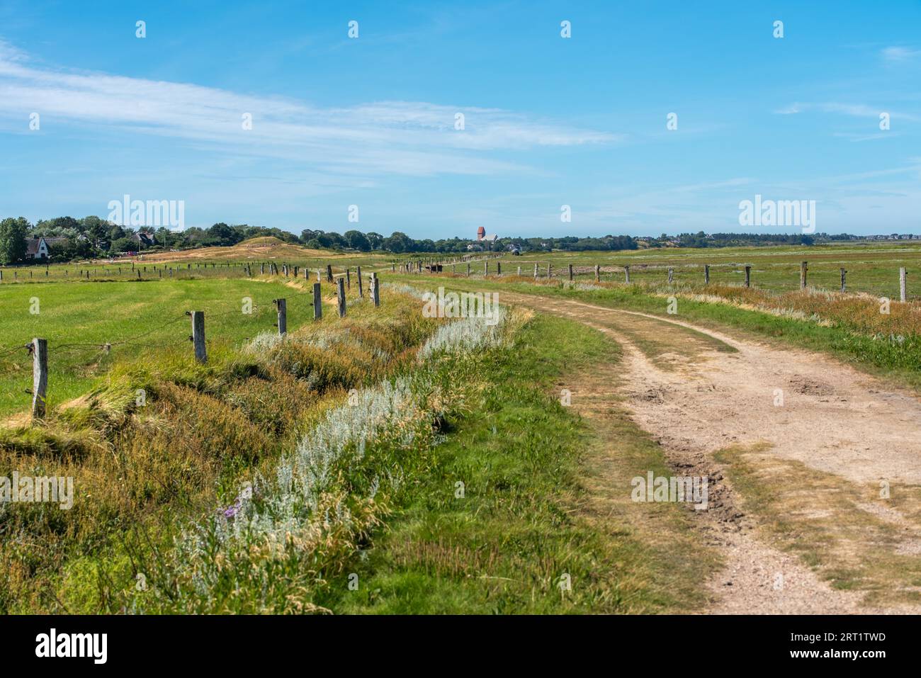 Grazing area on the Wadden Sea Stock Photo - Alamy