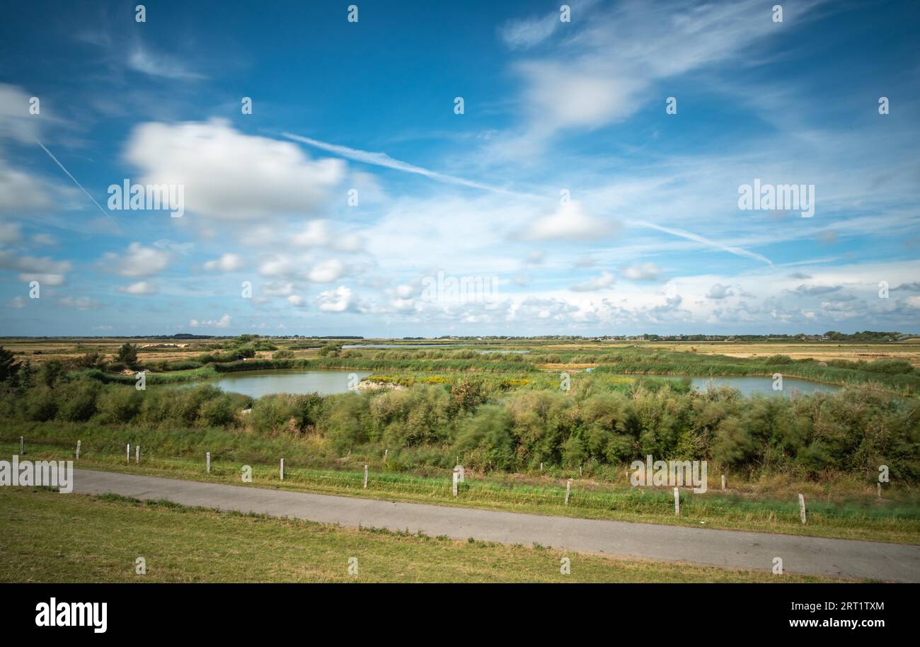 Field and water channels, freshwater lake behind the dike Stock Photo ...