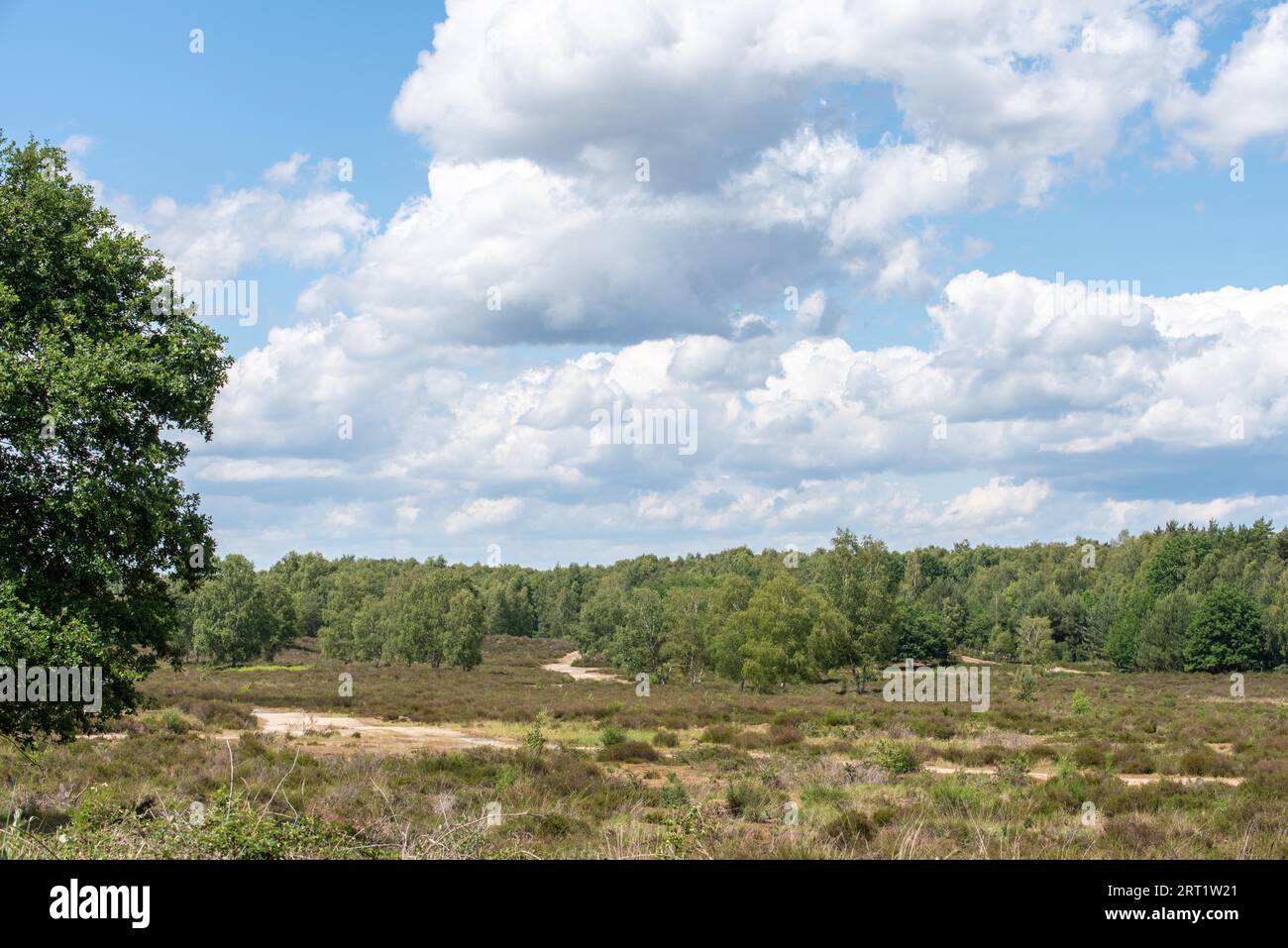Middle Terrace Landscape in the Wahner Heath Stock Photo - Alamy