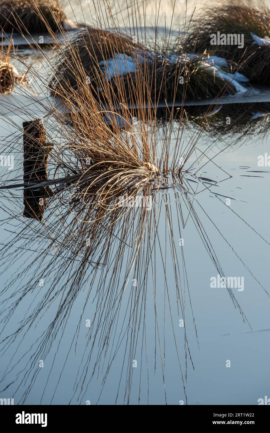 High Fens in Belgium Stock Photo - Alamy