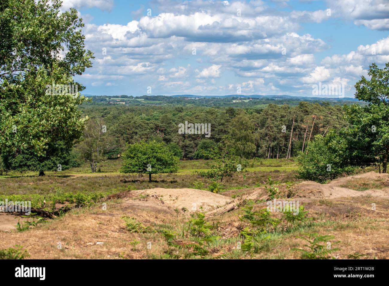 Middle Terrace Landscape in the Wahner Heath Stock Photo - Alamy
