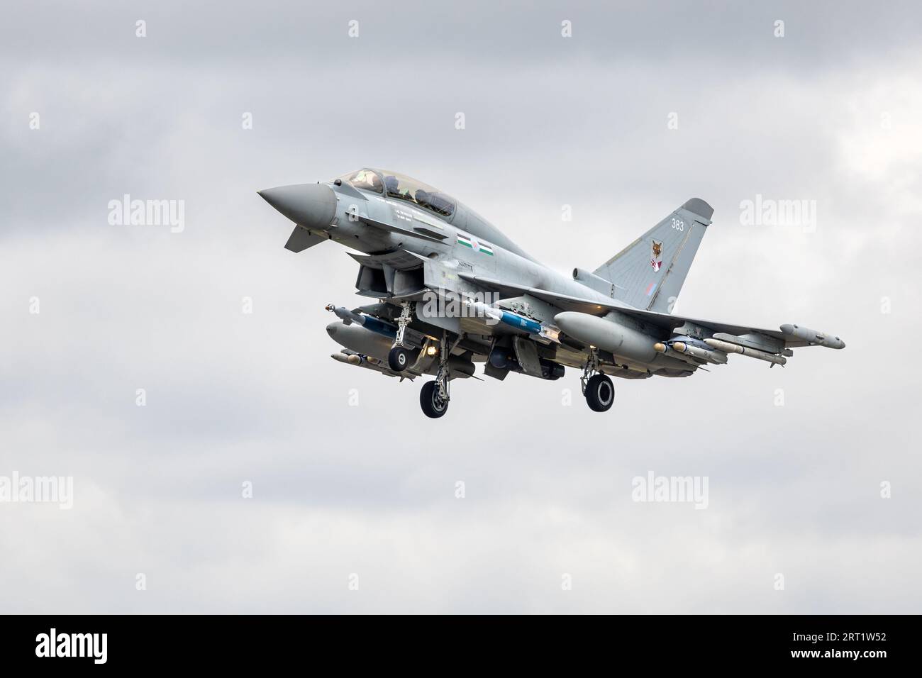 Royal Air Force - Eurofighter EF-2000 Typhoon T.3 ZK383 from No.12R ...