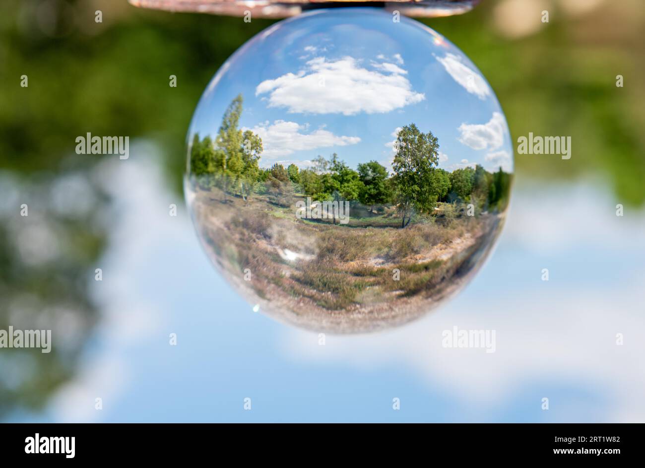 Heath photography hi-res stock photography and images - Alamy