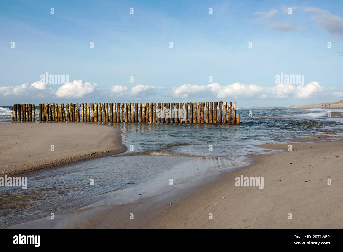 Old wooden groyne in the North Sea Stock Photo - Alamy