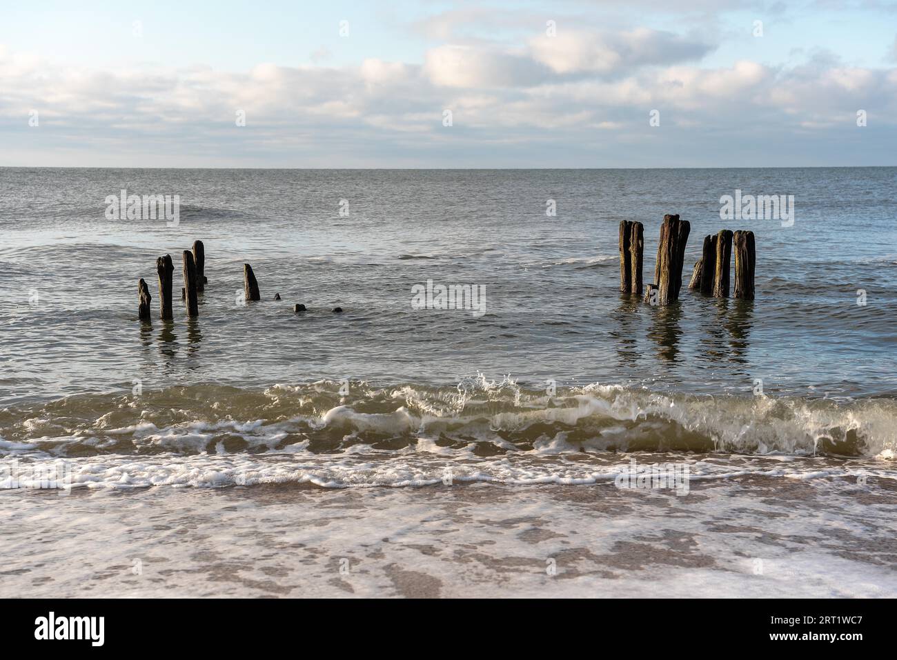 Old wooden groyne in the North Sea Stock Photo - Alamy
