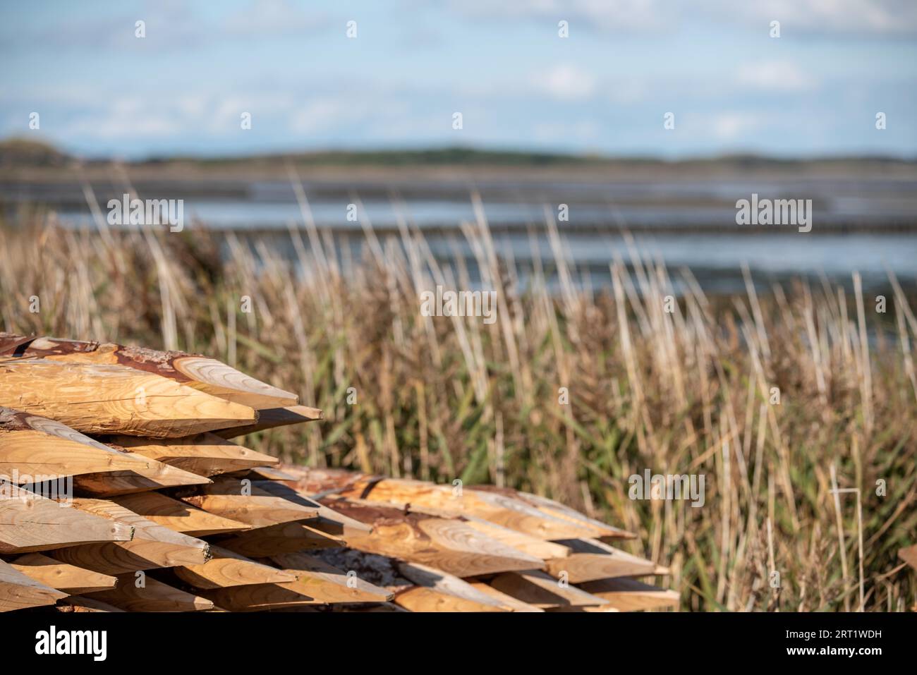 Sharpen wooden stake Stock Photo - Alamy